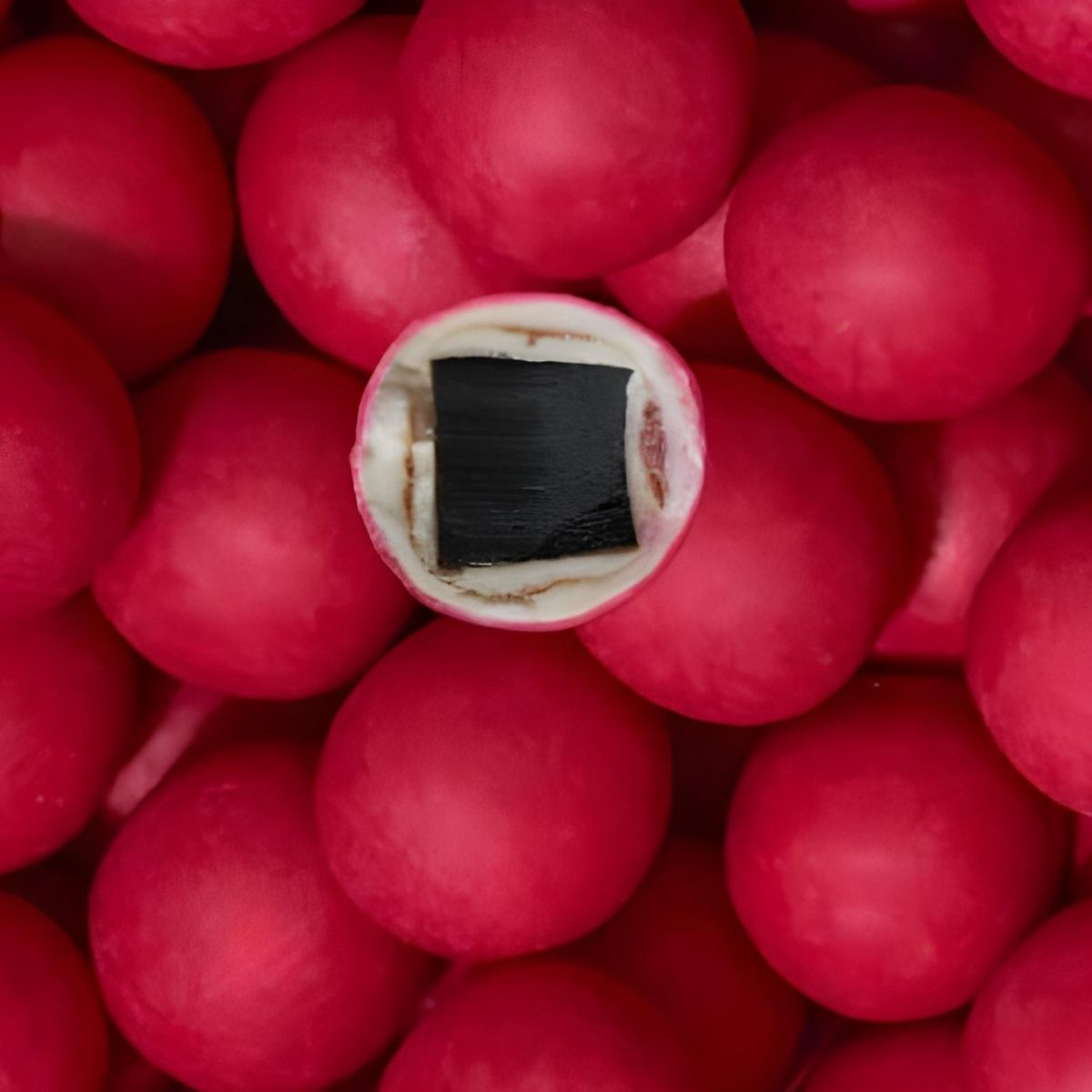 Lakrids by Bulow Strawberries & Cream With White Chocolate - Small ...